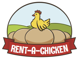Rent-A-Chicken® - aboutNORTH