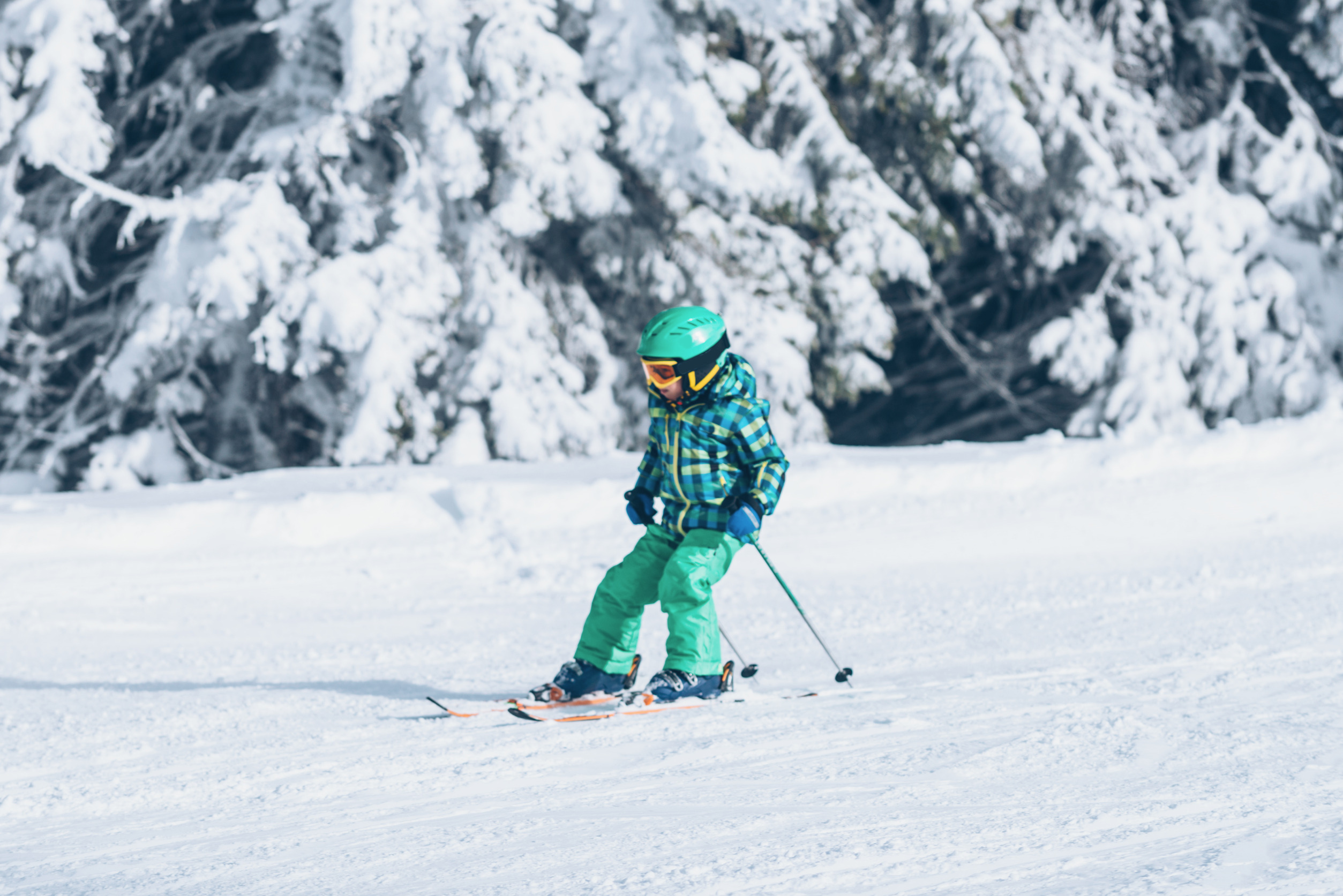 Top 20 Northern Michigan Ski Resorts: A Winter Wonderland - aboutNORTH